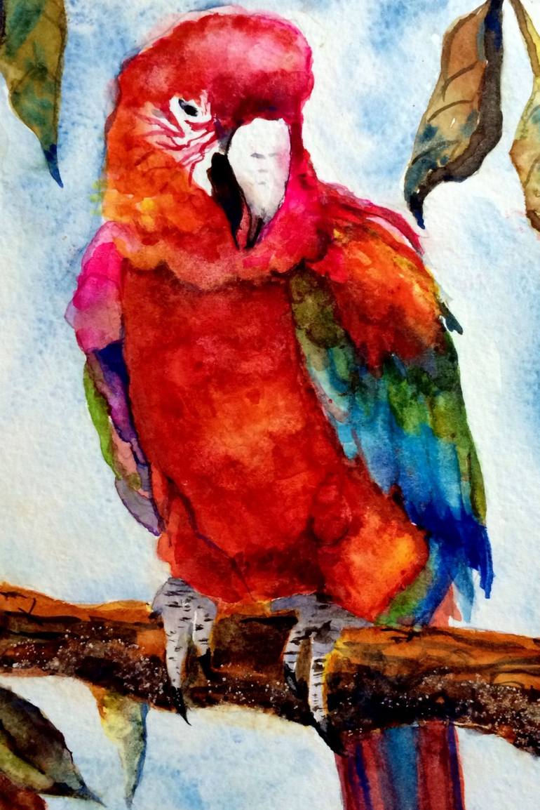 Red Parrot Painting by Nancy Hibbett | Saatchi Art