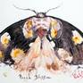 Peach Blossom (Thyatira Batis) Painting by Violeta Damjanovic-Behrendt ...
