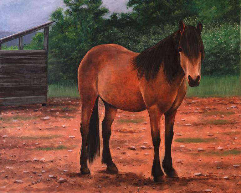 Pertuis pony Painting by Randolph South | Saatchi Art