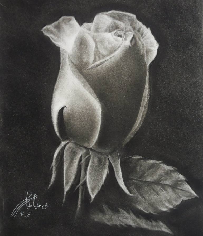flower Drawing by ali taba | Saatchi Art