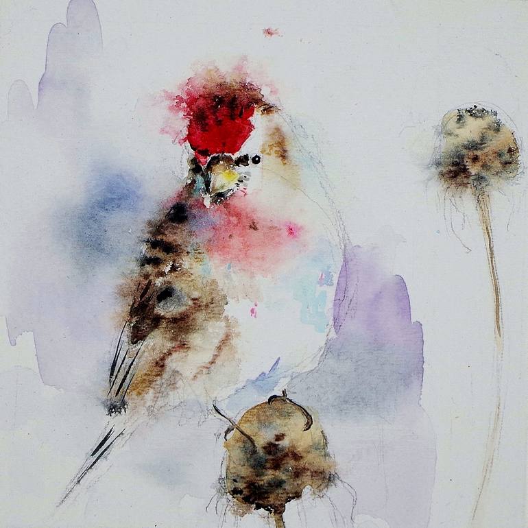 Common Redpoll Painting by Emily Mcphee | Saatchi Art