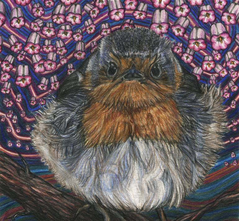 Robin and Bell Flowers Drawing by Peter Neel | Saatchi Art