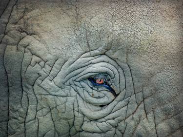 David Korte Artworks | Saatchi Art