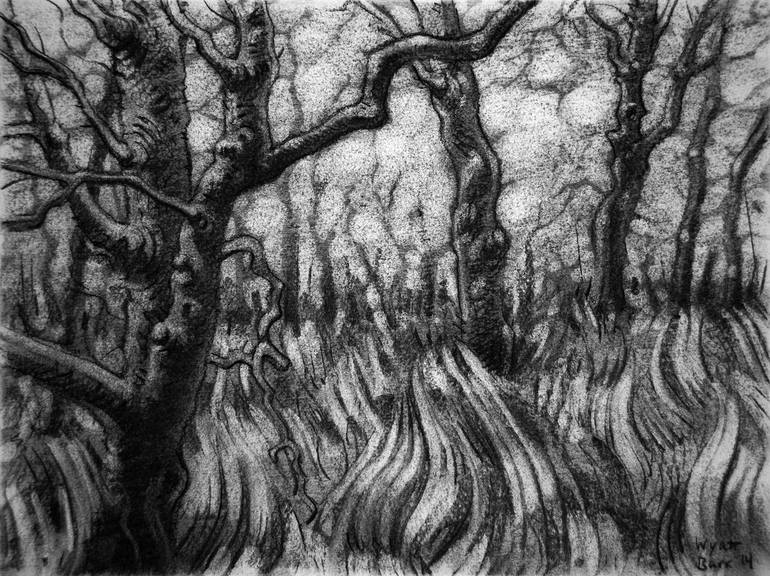 Understory 7 Drawing by Wyatt Barr | Saatchi Art