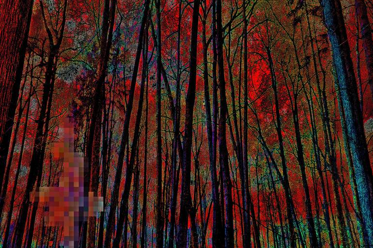 Tree trunks. Mixed Media by Andy i Za | Saatchi Art