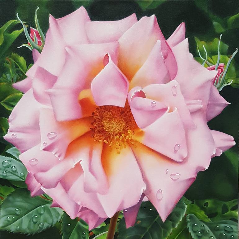 Pale Pink Rose Painting by Ora Sorensen | Saatchi Art
