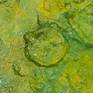 Citrus Maxima Painting by Pamela Rys | Saatchi Art