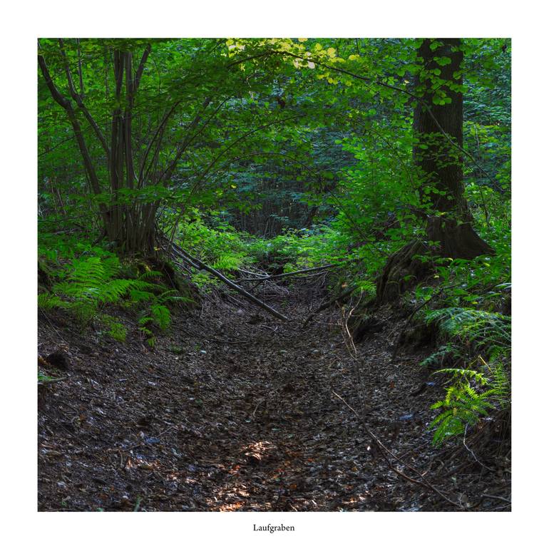 Laufgraben - Limited Edition 1 of 5 (plus 2 artist proofs) Photography ...