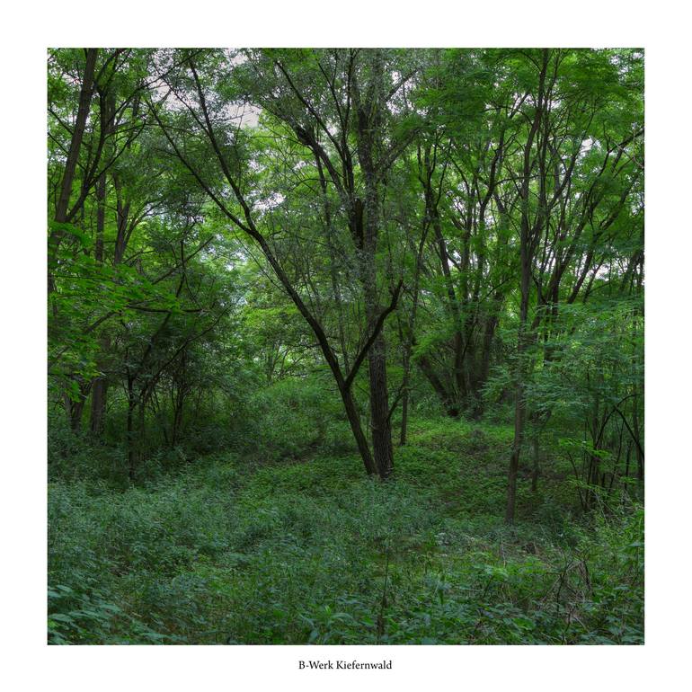 B-Werk Kiefernwald - Limited Edition 1 of 5 (plus 2 artist proofs ...