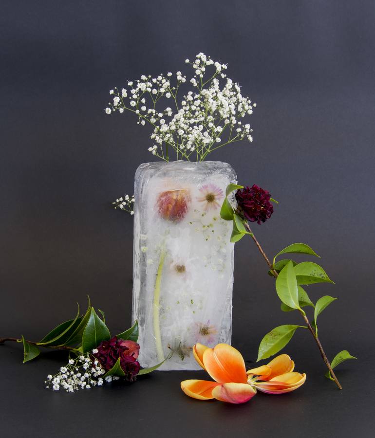 Frozen in Time Vol 2 - Limited Edition 1 of 10 Photography by Daniel ...