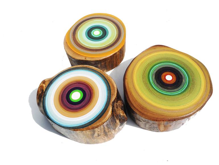 Tree Ring Series #D1 Painting by Tracy Melton | Saatchi Art