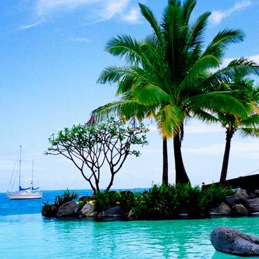 Martin Volpe | Saatchi Art