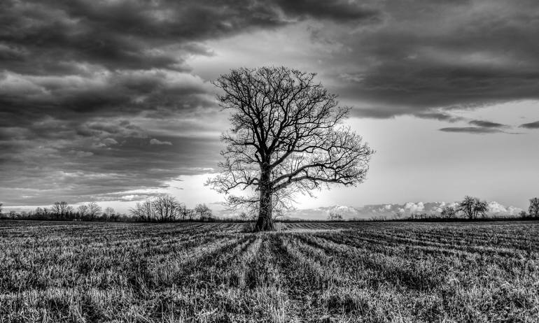 Eye In The Sky - Limited Edition 1 of 5 Photography by Dan Regna ...