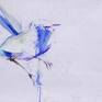 Blue Wren Drawing by Roland Weight | Saatchi Art