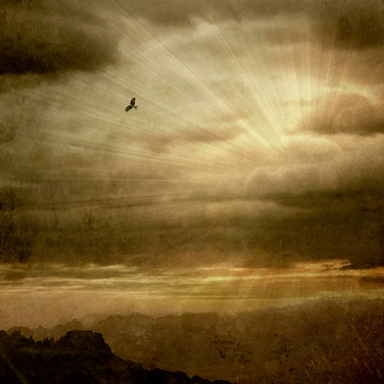 Free flight Collage by Alexander Sviridoff | Saatchi Art