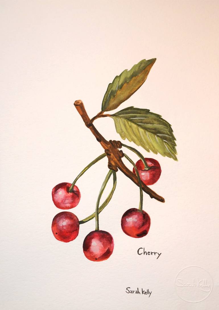 Cherries Painting by Sarah Kelly | Saatchi Art