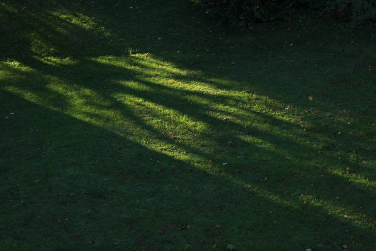 SLICE OF LIGHT. Mixed Media by Maxine Thompson | Saatchi Art