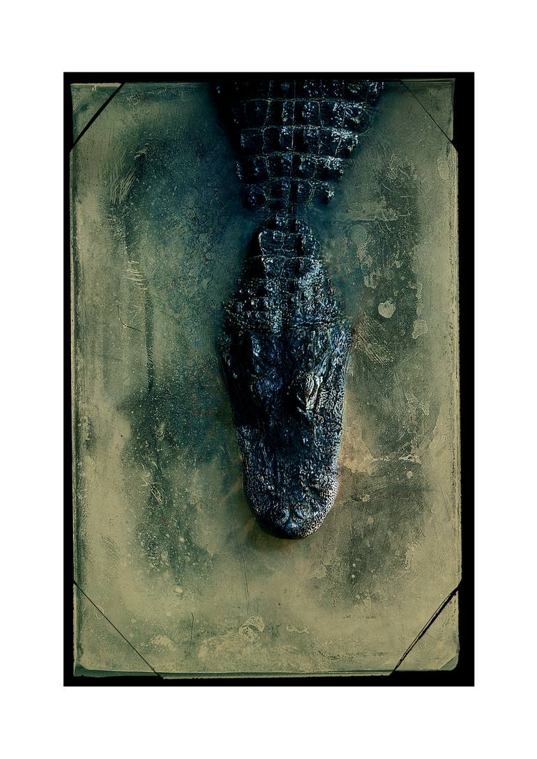 PRIMAL SPECIMEN...limited edition No 2 of 5 available Photography by ...