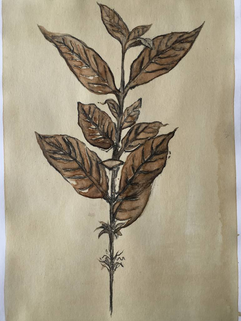 Coffee Plant Painting by Maimuna Adam | Saatchi Art