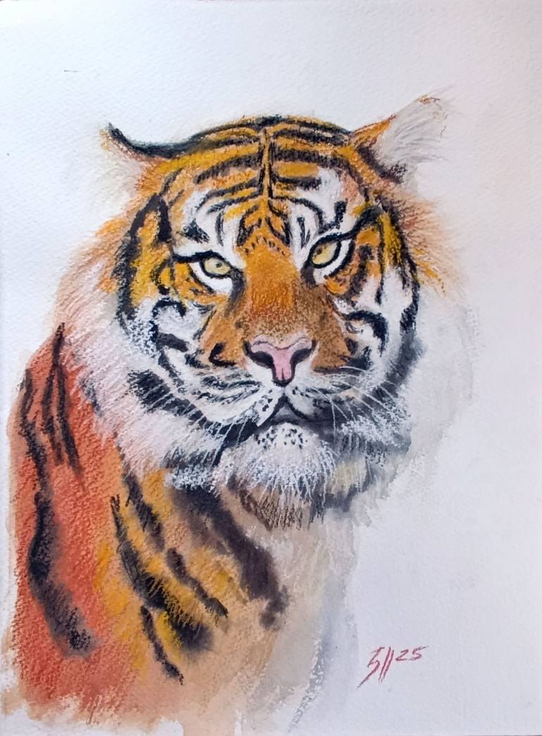 Tiger II Painting by Svetlana Samovarova | Saatchi Art