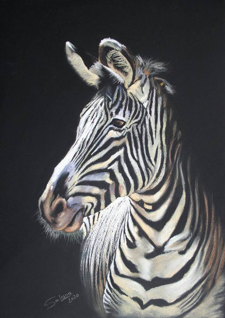 Zebra Drawing by Svetlana Samovarova | Saatchi Art