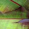 REPOSE - Limited Edition 3 of 5 Photography by Yvette Lodge | Saatchi Art