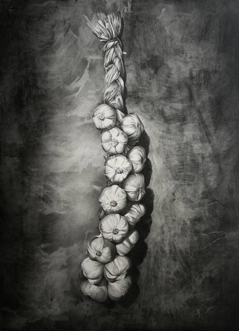 Garlics Drawing by Fernando Laso | Saatchi Art