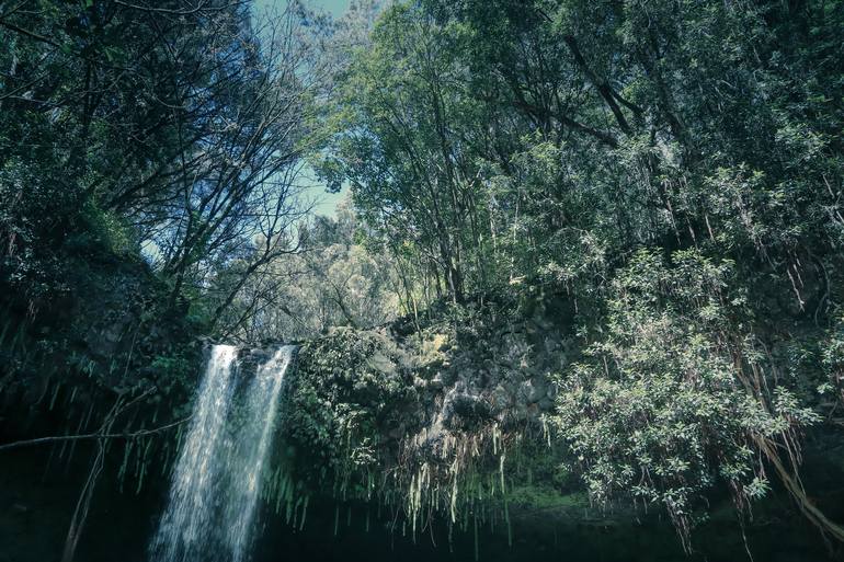 Eden Waterfall Photography by Joanna Kalafatis | Saatchi Art