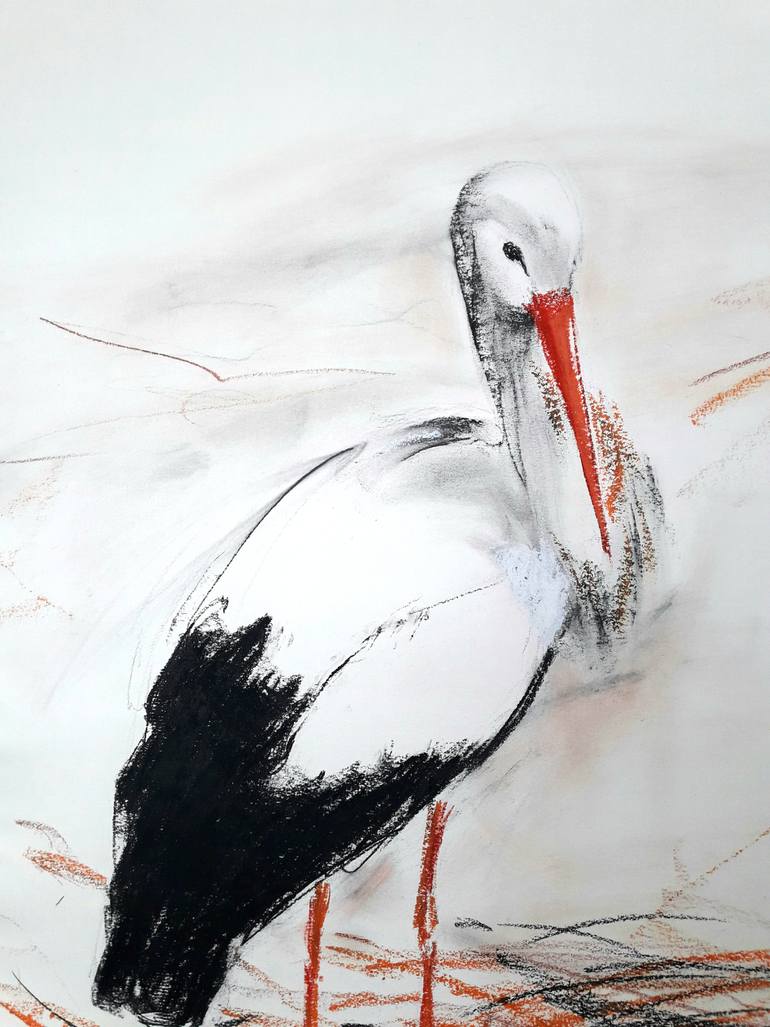 Storch Drawing by Karina Plachetka | Saatchi Art