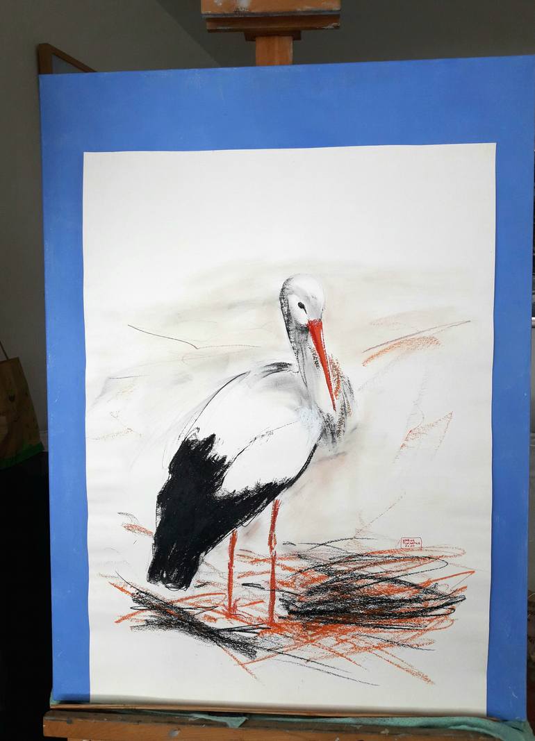 Storch Drawing by Karina Plachetka | Saatchi Art