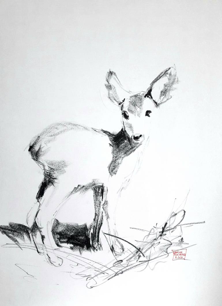 New life Drawing by Karina Plachetka | Saatchi Art