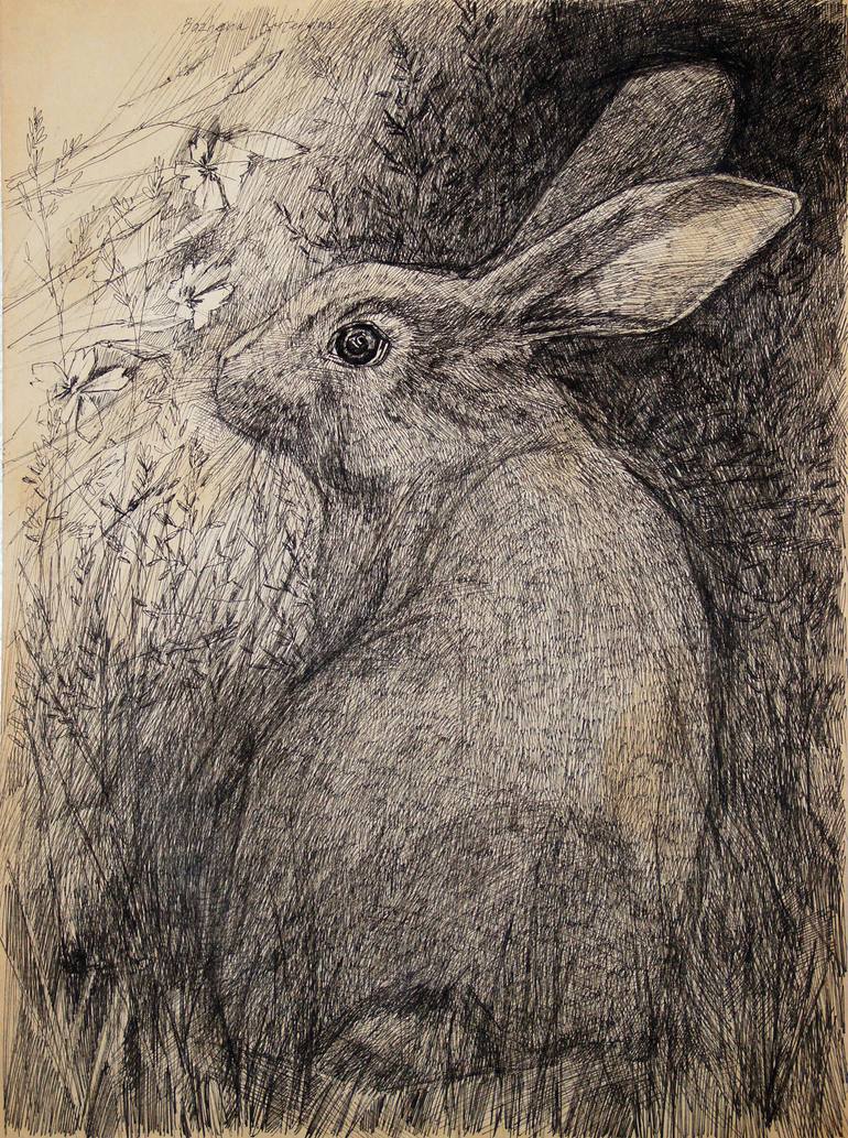 Rabbit Drawing by Bazhena Kutergina | Saatchi Art