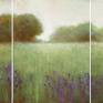 Wild Iris Triptych 5919 Painting by Don Bishop | Saatchi Art