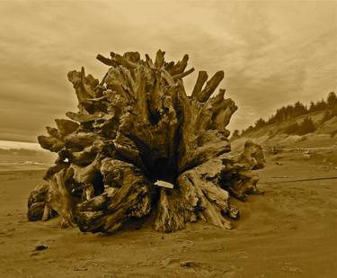 Scott Brunton | Saatchi Art