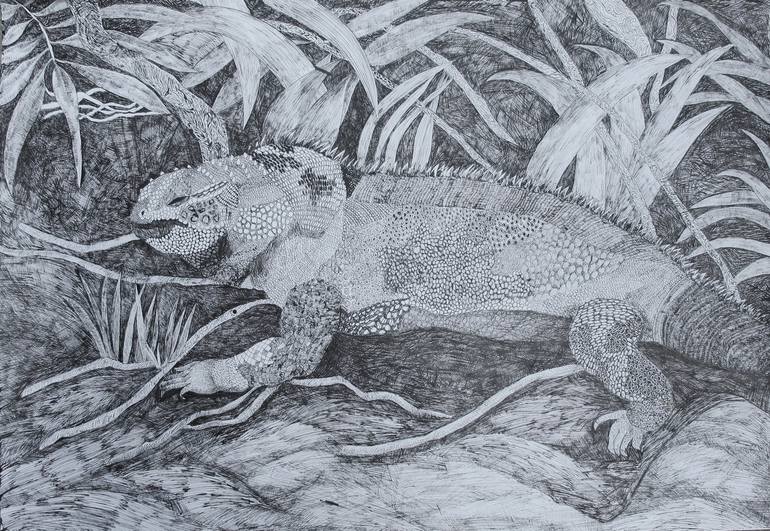 Wilderness Drawing by Marta Tuta | Saatchi Art
