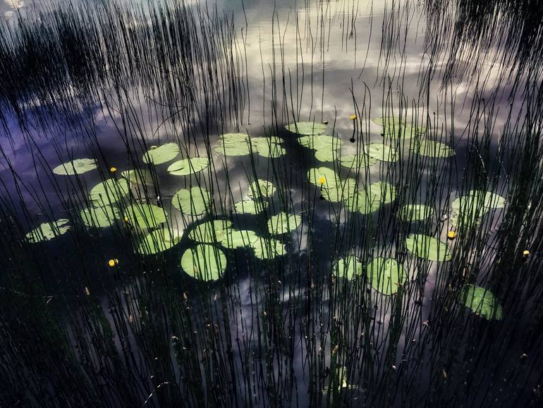 Floating world Photography by Julian D'Arcy | Saatchi Art