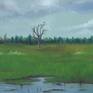 Summer Day at Tuttle Marsh Painting by Mary Thompson | Saatchi Art