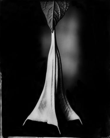 Lee Crum Artworks | Saatchi Art