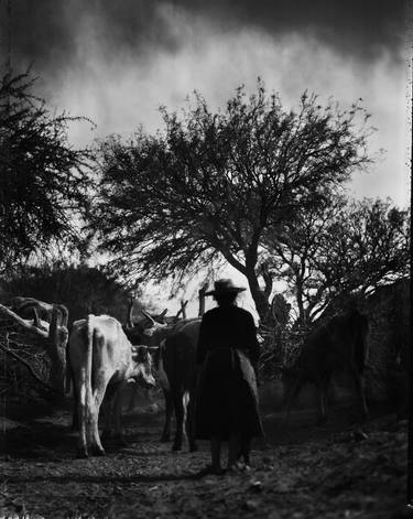 Lee Crum Artworks | Saatchi Art