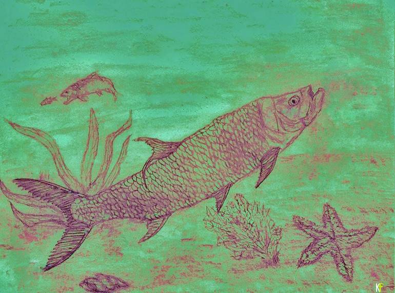 TARPON Drawing by Kevin Fairchild | Saatchi Art