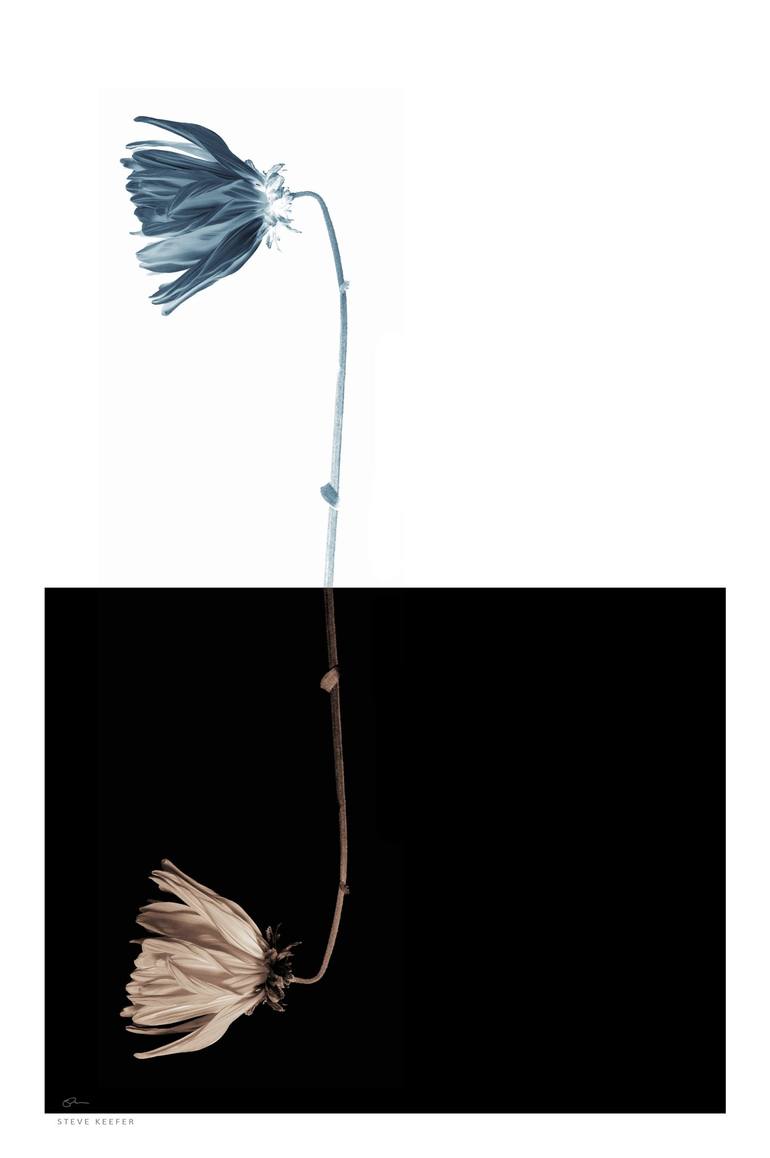 Beneath the Surface Photography by Steve Keefer | Saatchi Art