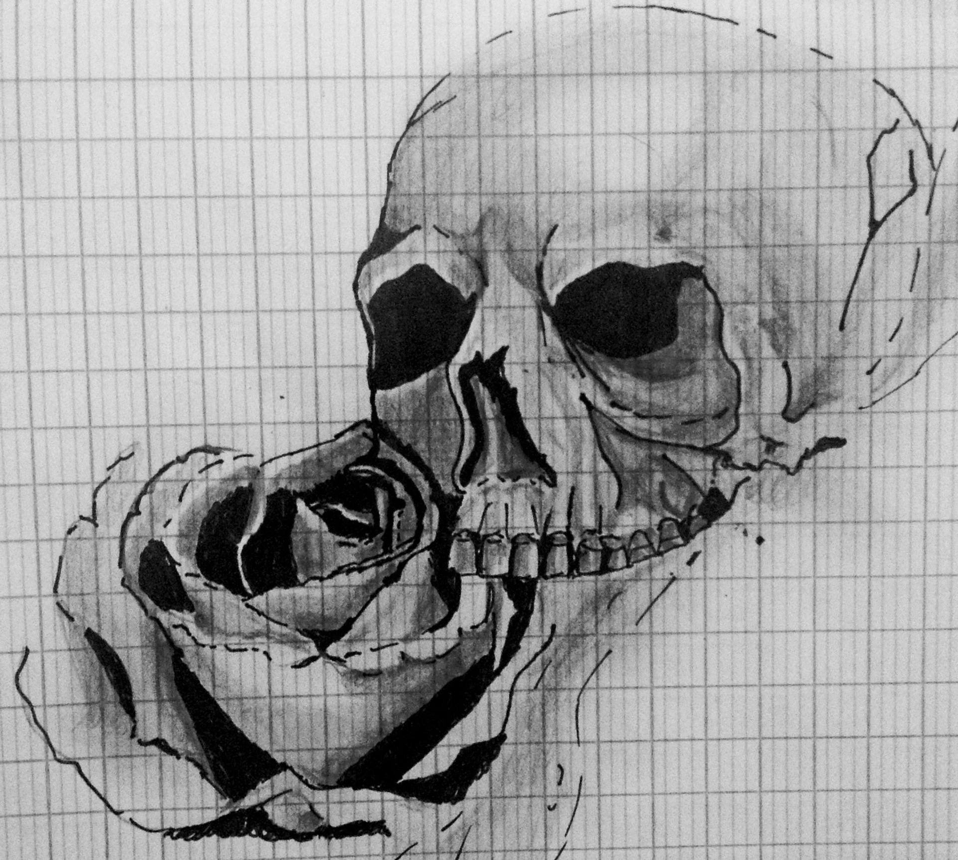 Skull And Roses Drawing