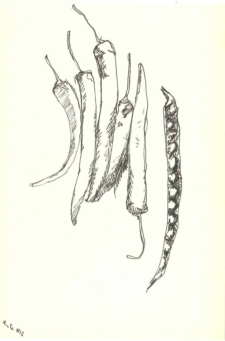 piselli Drawing by Anita Gentile | Saatchi Art