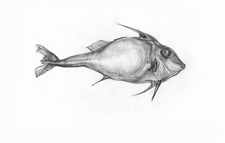 Skittish fish Drawing by Olga Rogozina | Saatchi Art