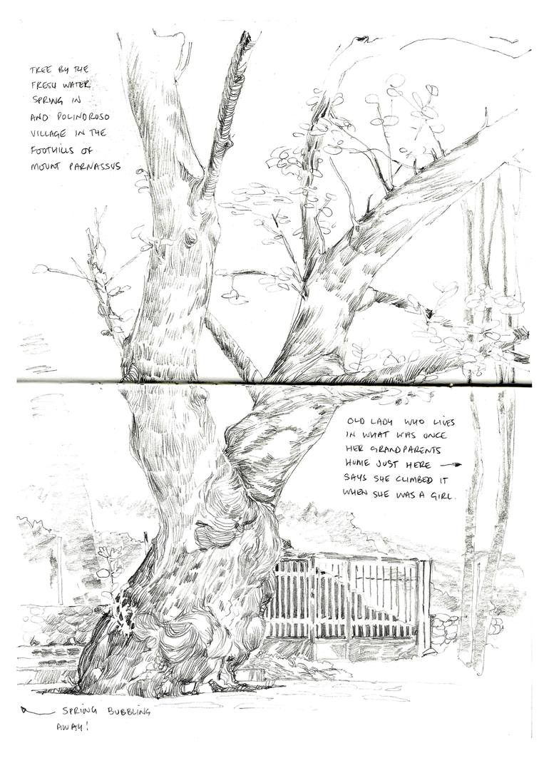 The climbing tree Drawing by Richard Johnson | Saatchi Art