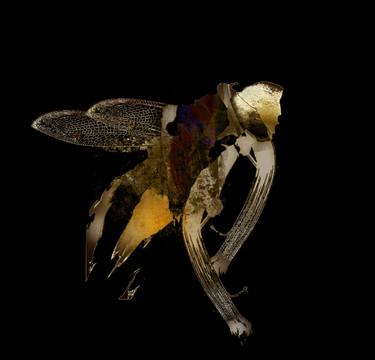 Alan Spazzali | Saatchi Art