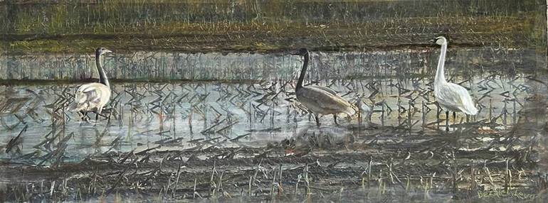 Three Swans Scroll Painting by Bezalel Levy | Saatchi Art