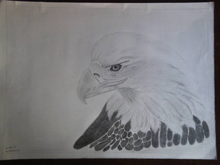 Fearless Eagle Drawing by Shraddha Gupte | Saatchi Art