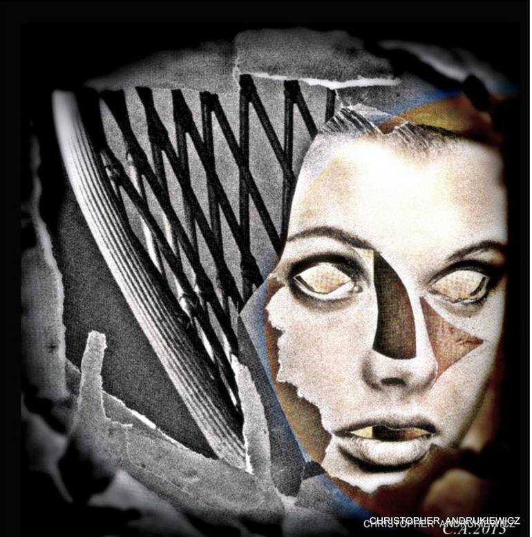 female face in a sectioned pattern of parts. Collage by christopher ...
