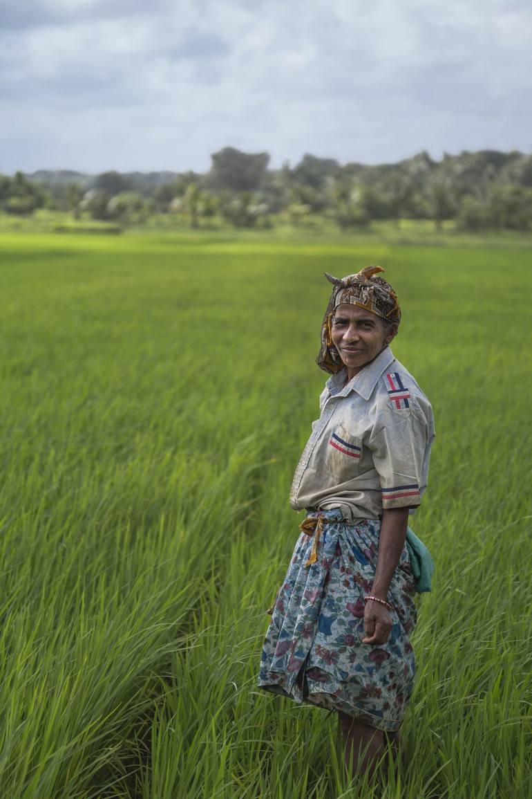 Lady Farmer,Goa Photography by Parth Dave | Saatchi Art